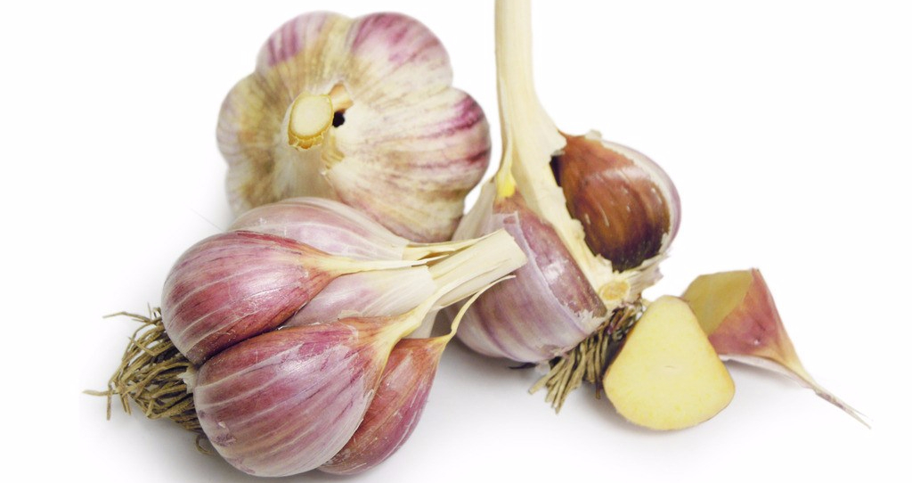 Garlic oil/Allicin (CAS No.: 8008-99-9)