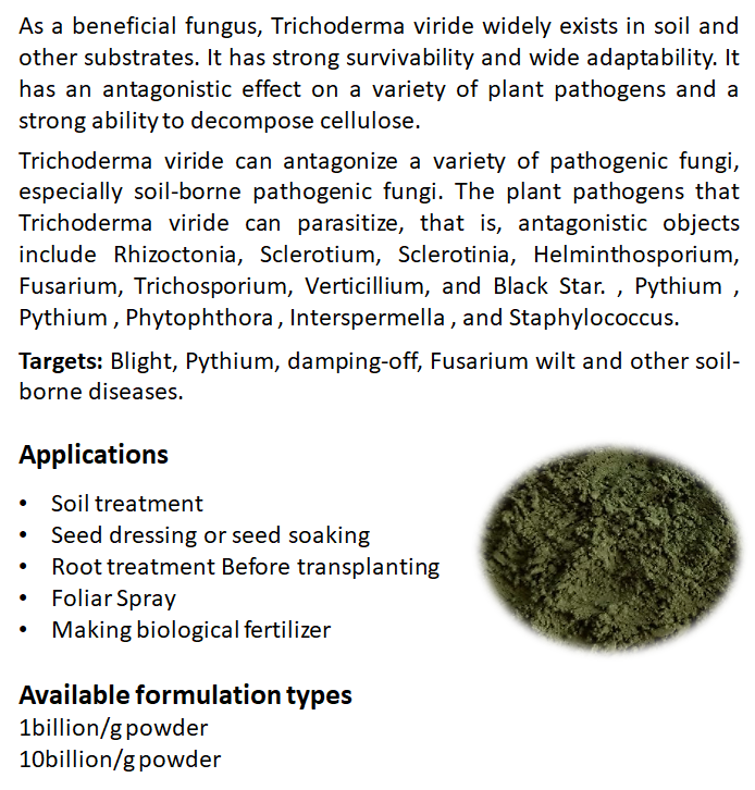 Trichoderma Viride